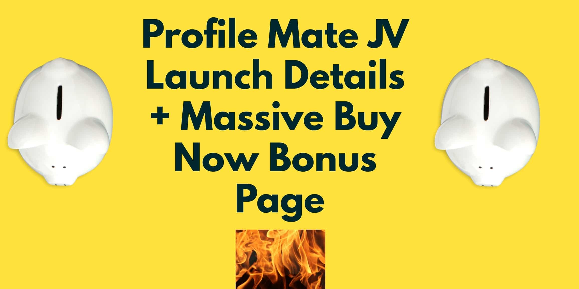 ProfileMate JV Launch Details + Massive Buy Now Bonus Page